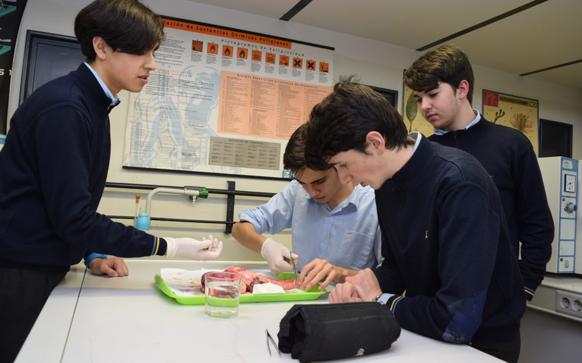 Prácticas de laboratorio con método científico | Tajamar